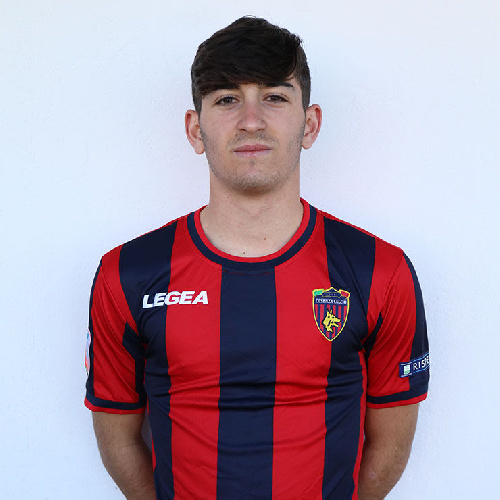 ARIOLI ALESSANDRO - Carriera - stagioni, presenze, goal ...